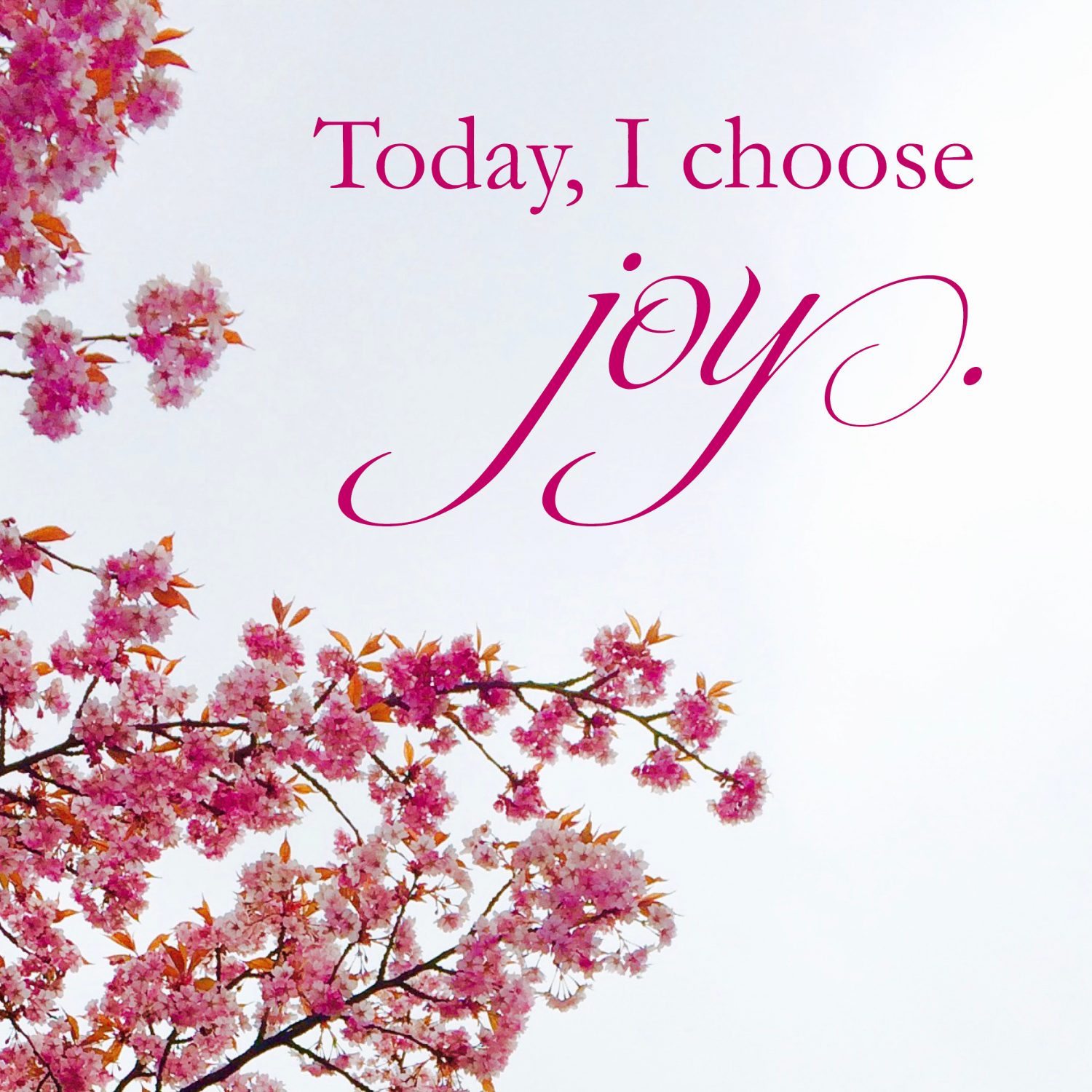Today, I Choose Joy - Saint Benedict's Monastery