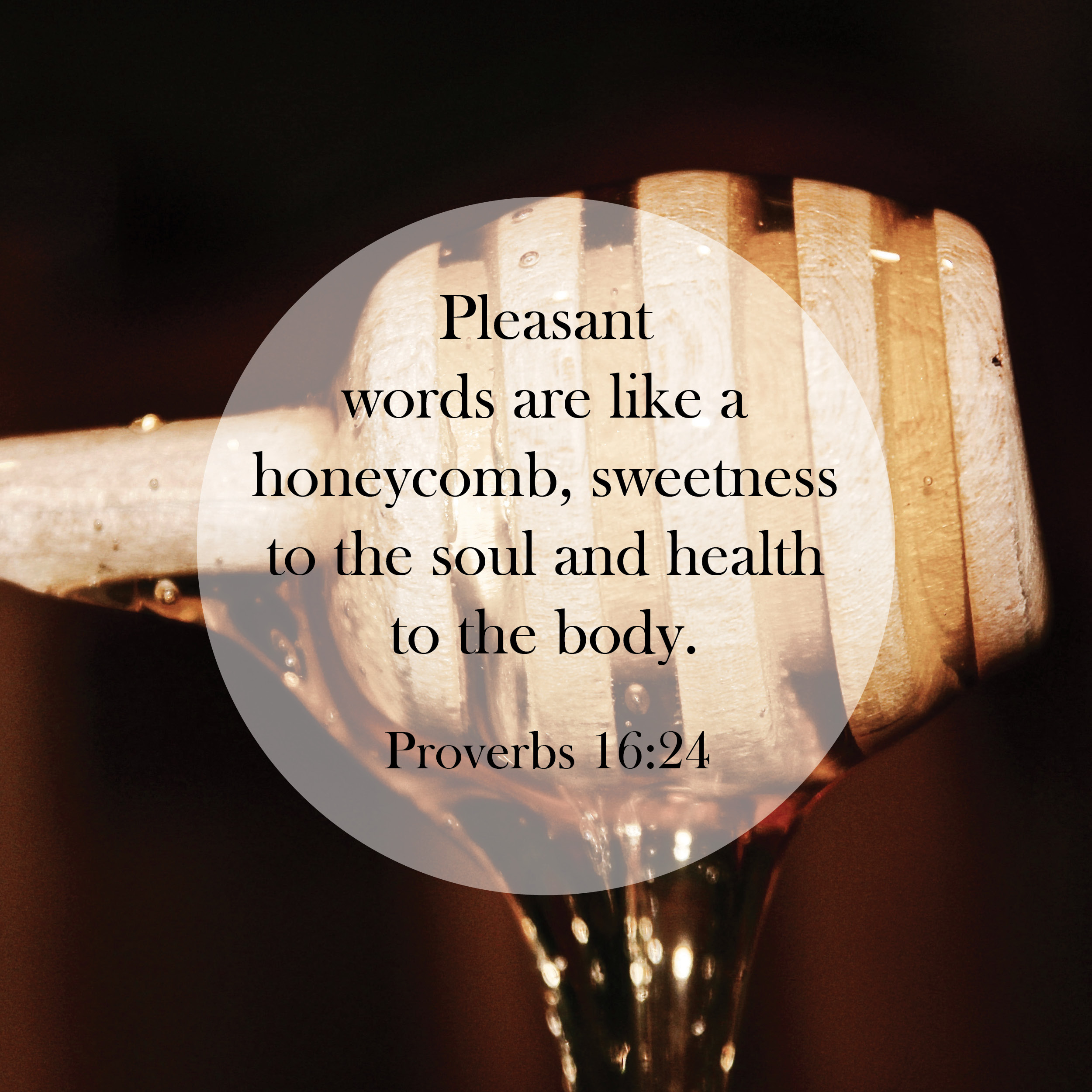 Proverbs 16:24 - Saint Benedict's Monastery