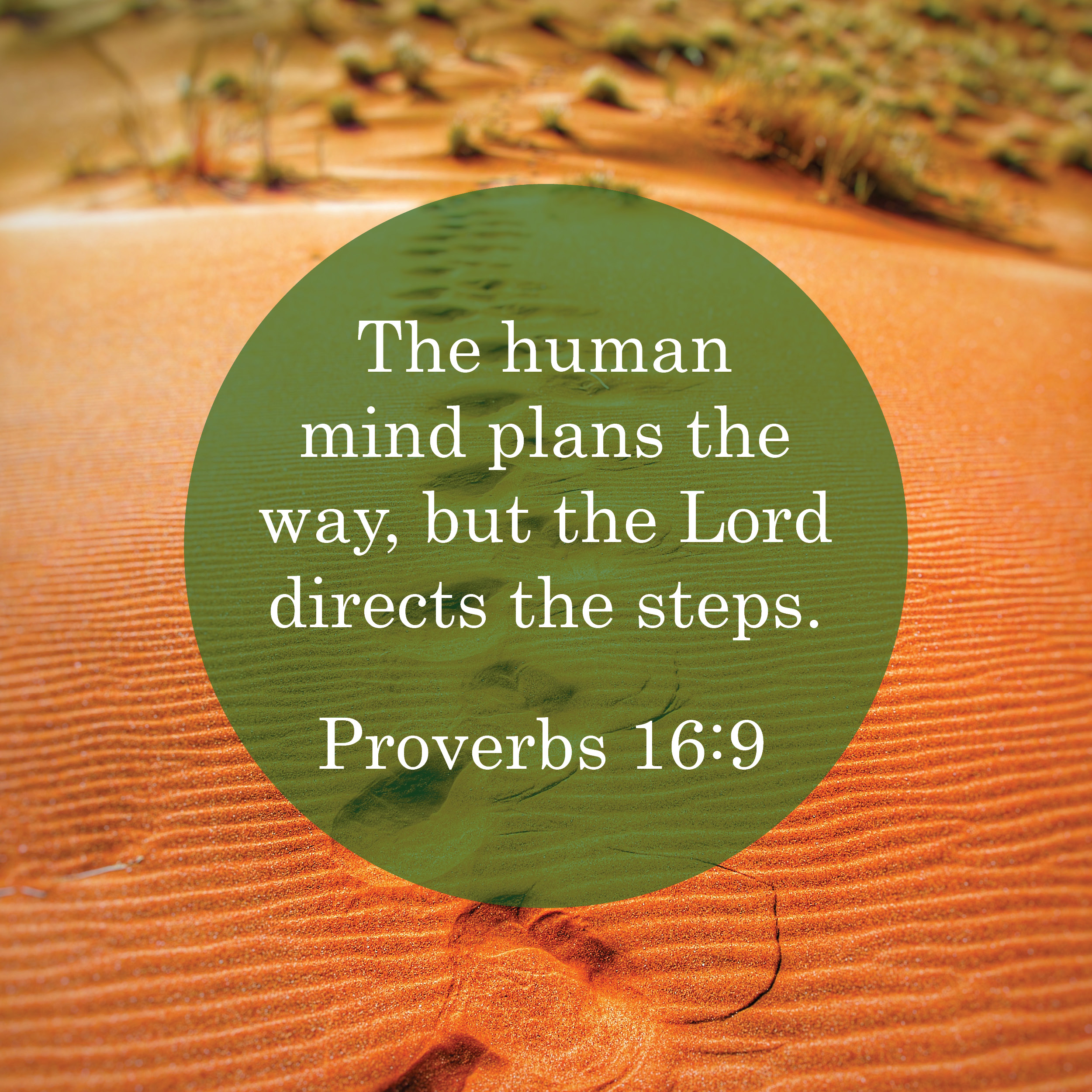 Proverbs 16:9 - Saint Benedict's Monastery